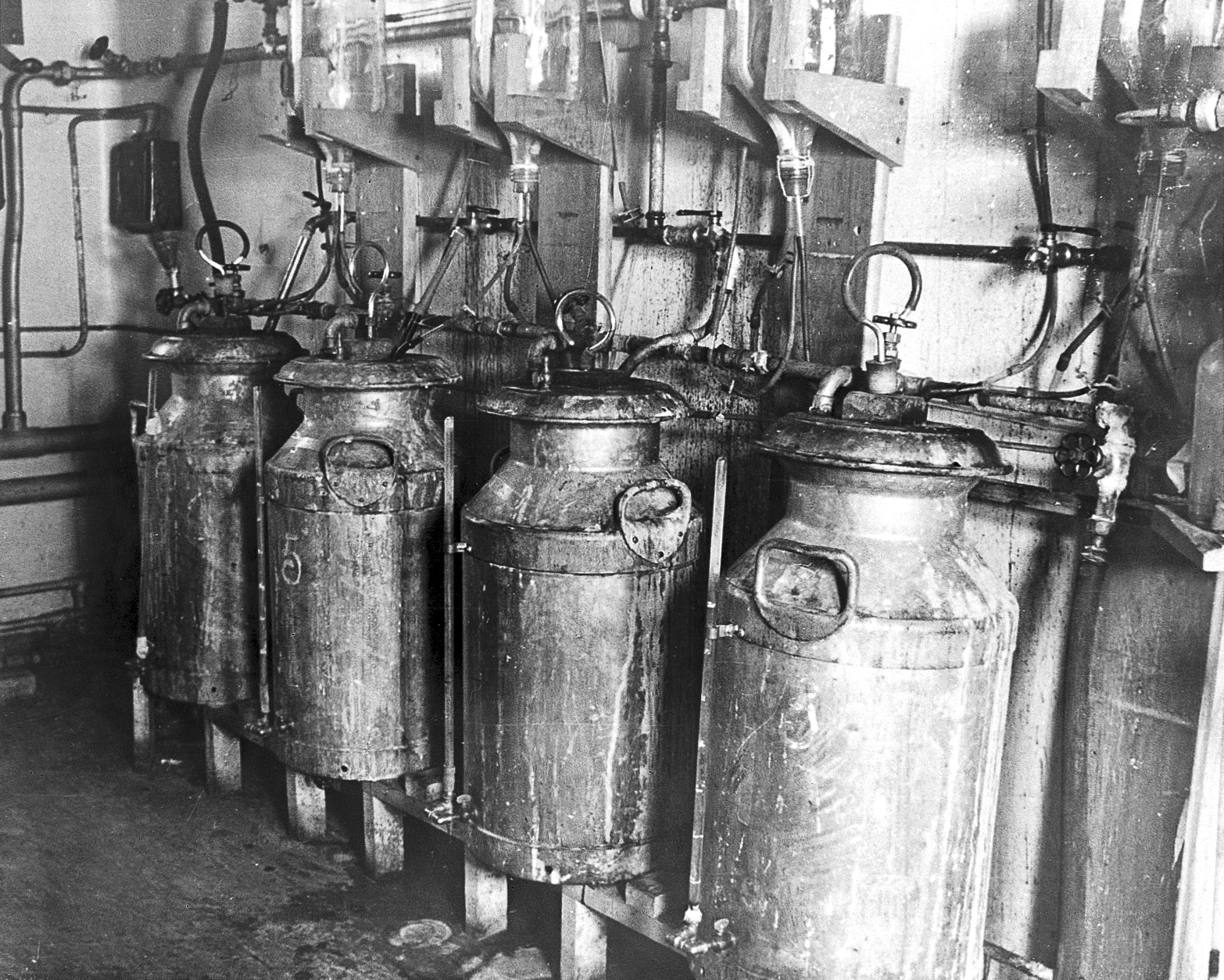 Entwicklung des Penicillin – Ernst Boris Chain. Wo ist seine ...